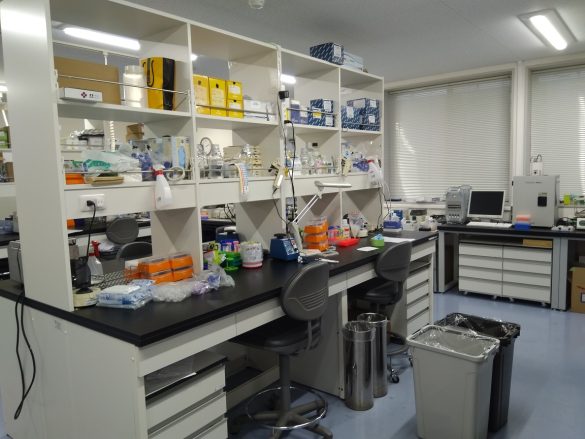 The 3 Rs (Reduction, Refinement, Replacement): Guiding Principles in ...