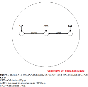 ESBL Positive - Understanding Extended Spectrum Beta-lactamases Tests ...