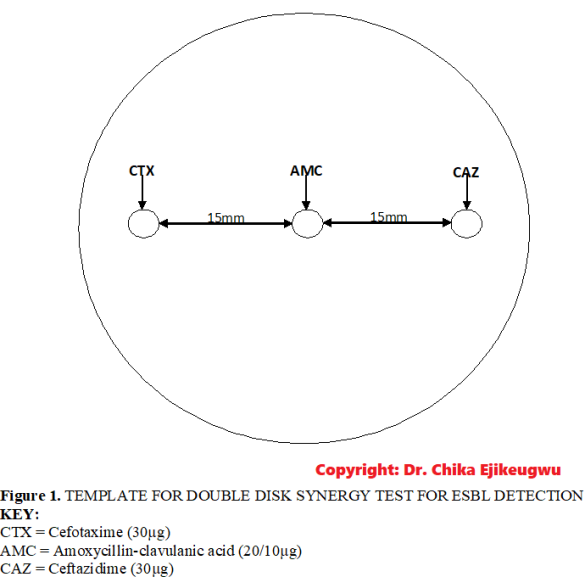 EXTENDED SPECTRUM β-LACTAMASE (ESBL) - detection methods - Everything Microbiology