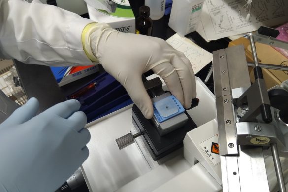 Specimen Collection in Microbiology Lab - Everything Microbiology