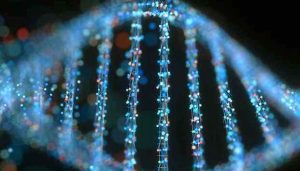 TYPES OF METABOLISM - #1 Microbiology Resource Hub