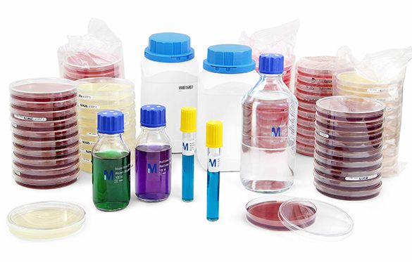 Desoxycholate Citrate Agar (DCA) - Everything Microbiology