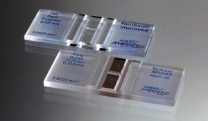 HAEMOCYTOMETER CELL COUNT FOR CSF SAMPLE - Microbiology Class