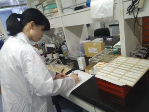 SLIDE RACK & STAINING RACK - #1 Microbiology Resource Hub