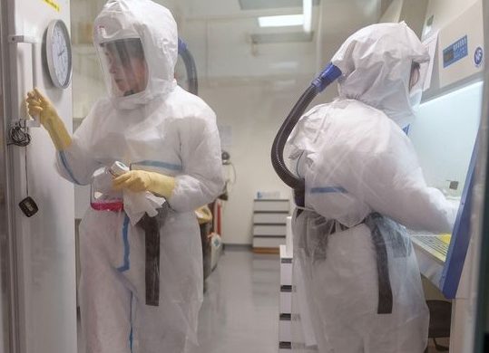 Everything Microbiology - Page 3 of 53 - Lessons and Courses on Microbiology