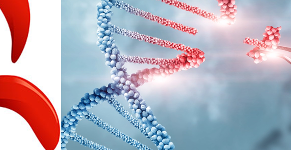 Gene Therapy Notes Archives - Everything Microbiology