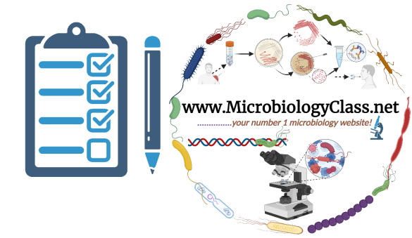 Everything Microbiology - Lessons and Courses on Microbiology