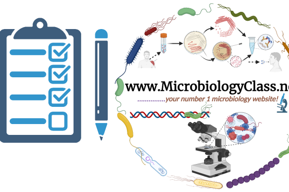 Everything Microbiology - Lessons and Courses on Microbiology