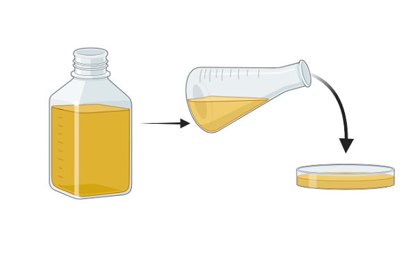 MEMBRANE FILTRATION TECHNIQUE - Everything Microbiology