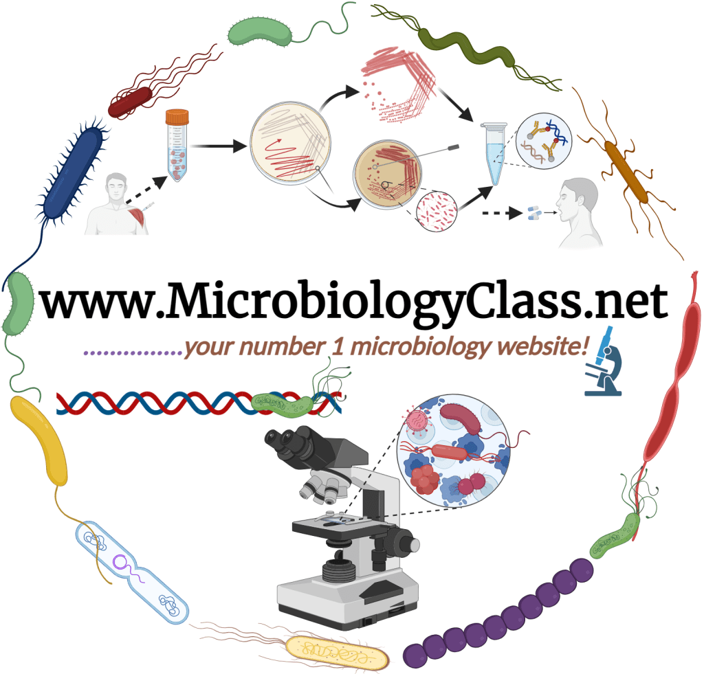 AXENIC (Gnotobiotic) ANIMALS - #1 Microbiology Resource Hub