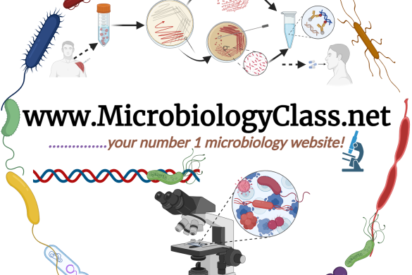 RESEARCH PROPOSAL TIPS FOR GRANTS & PROJECTS - Everything Microbiology