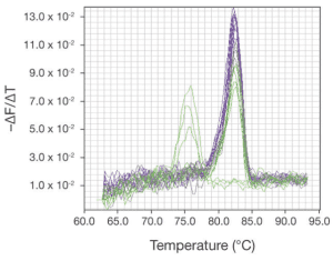 Melting Curve Analysis In Real-time PCR - Microbiology Class