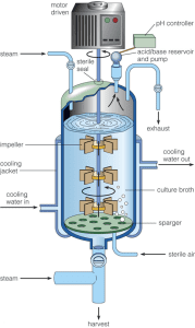 Design And Operation Of Fermenters: Engineering Optimal Environments ...