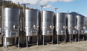 Design And Operation Of Fermenters: Engineering Optimal Environments ...