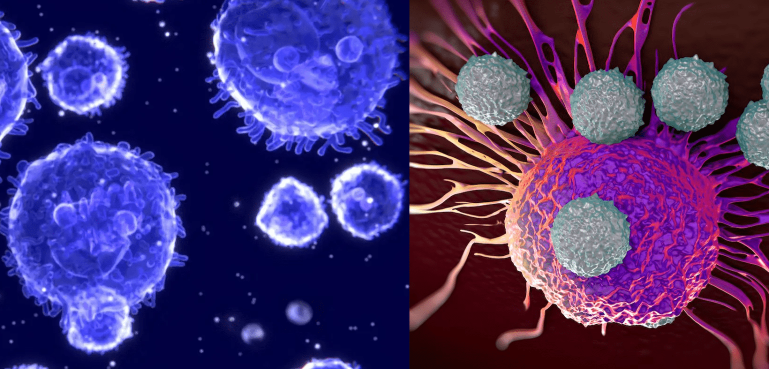 Microbiology Class - Best Microbiology Resource Hub For Notes, Seminars ...